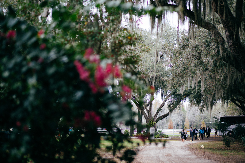 CHARITY + DAN | ROCKING H RANCH WEDDING | LAKELAND, FL. - Tiffani Jones ...
